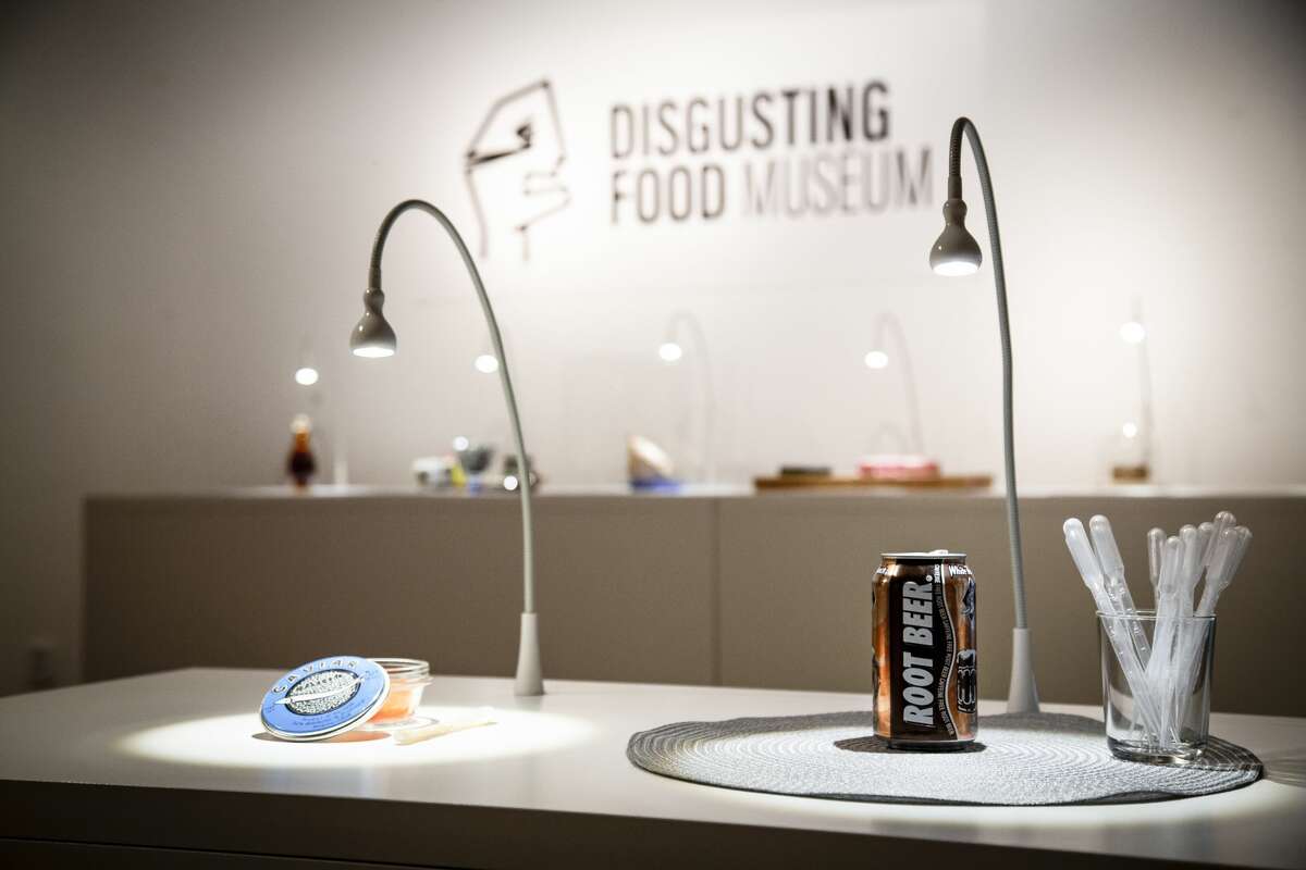 Disgusting Food Museum Proves That Objectionable Food Is In The Eye