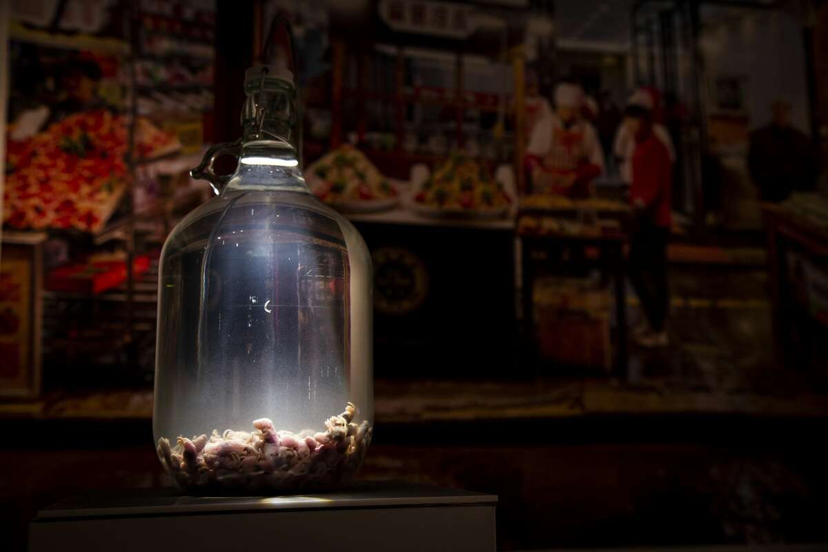 Disgusting Food Museum Proves That Objectionable Food Is In The Eye