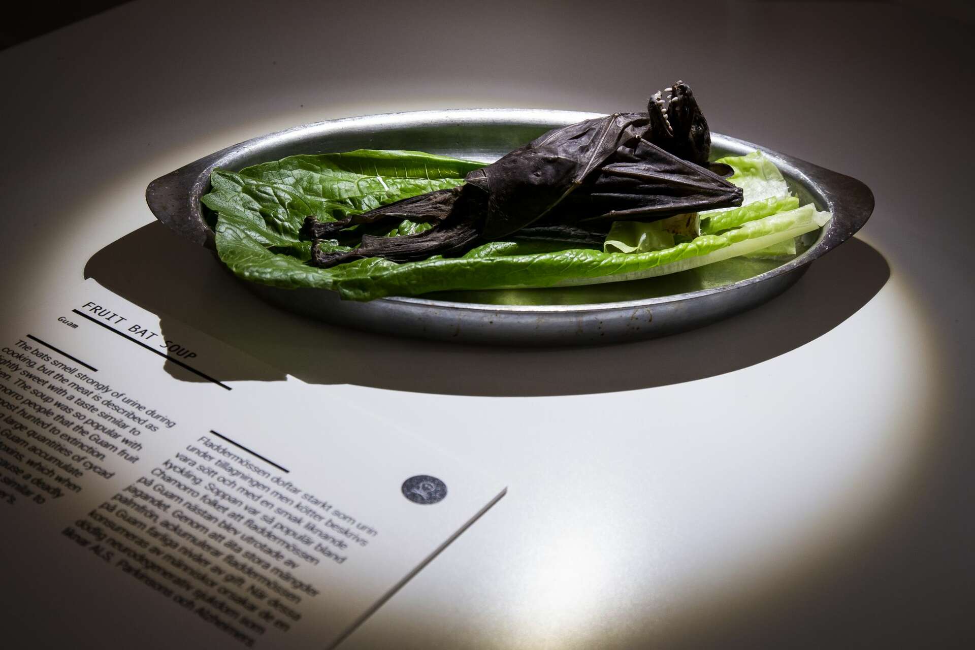 Disgusting Food Museum Proves That Objectionable Food Is In The Eye
