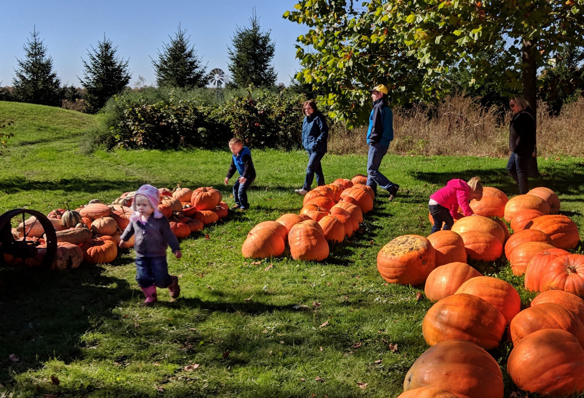 Beaverton's The Wild Pumpkin sets the tone for fall in mid-Michigan