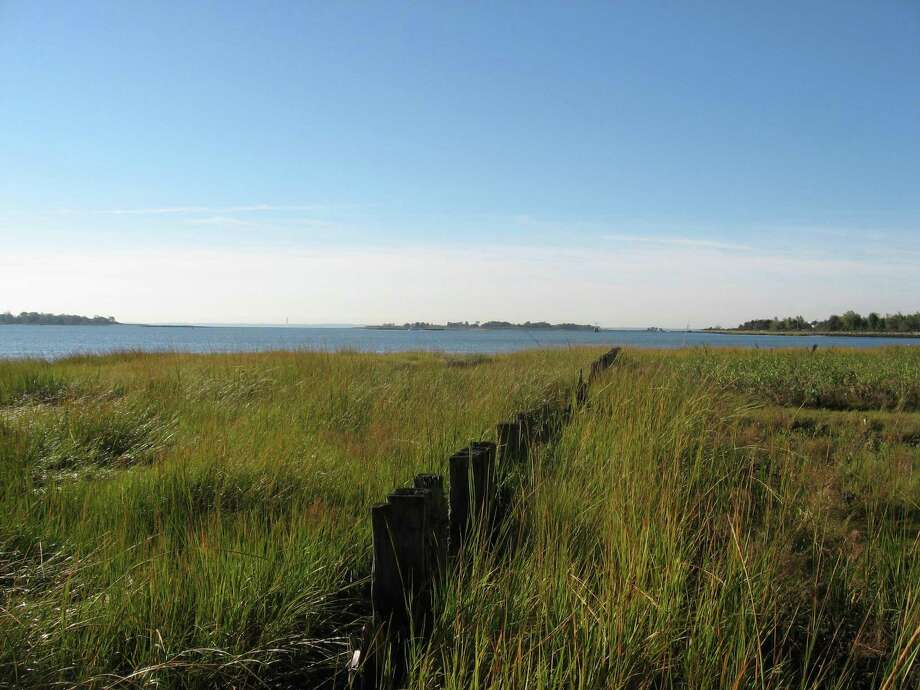 Peach Island: “An excellent wildlife habitat” - The Hour