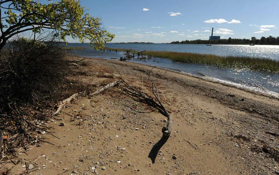 Peach Island: “An excellent wildlife habitat” - The Hour