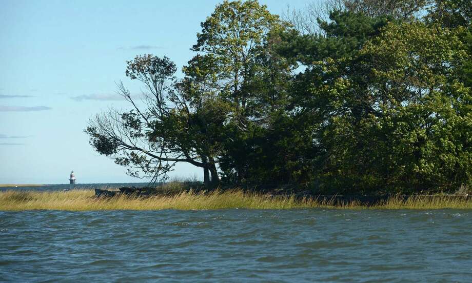 Peach Island: “An excellent wildlife habitat” - The Hour