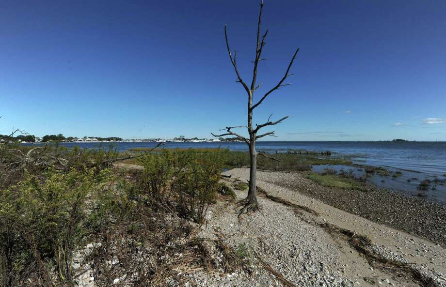 Peach Island: “An excellent wildlife habitat” - The Hour