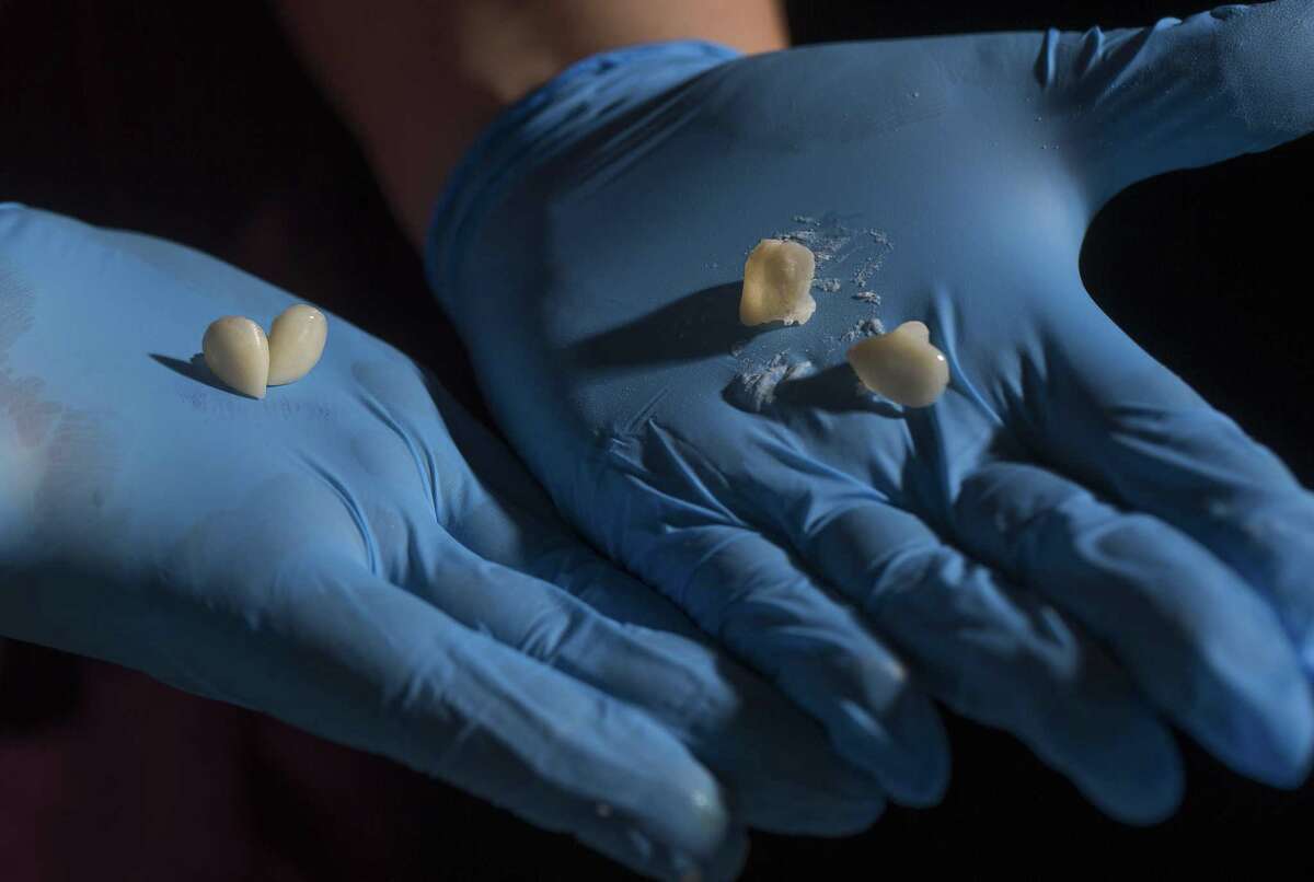 Need fangs delivered to your home? Houston’s fangsmith can do that.