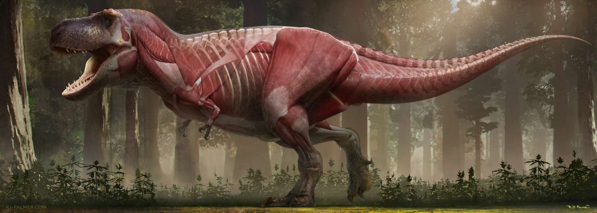 This is how T. rex really looked, according to one Bay Area artist