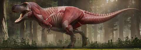 This is how T. rex really looked, according to one Bay Area artist