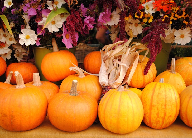 Ferry Plaza Farmers Market tour led by Sarah Fritsche