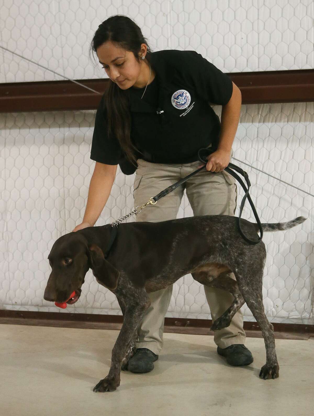 TSA offers look at San Antonio K9 explosives training center