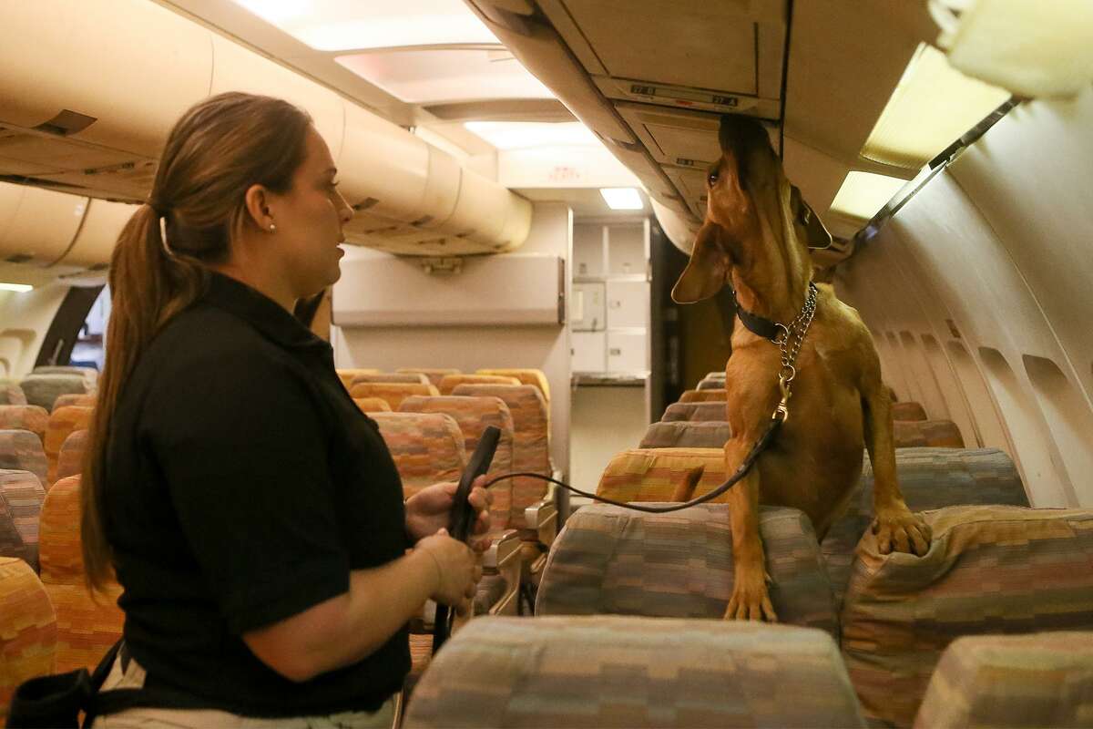 TSA offers look at San Antonio K9 explosives training center
