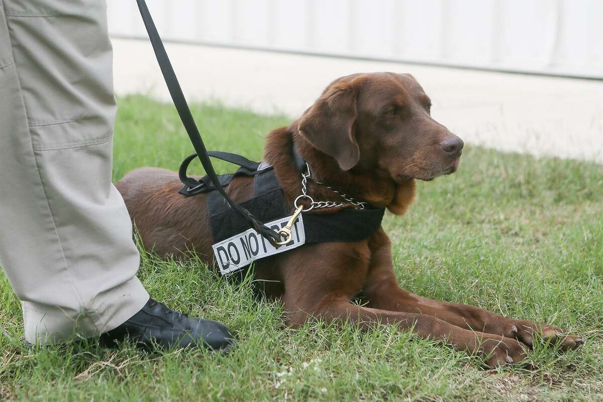 TSA offers look at San Antonio K9 explosives training center