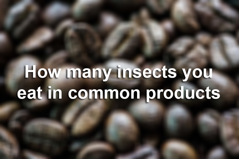 Report says your coffee is full of insect fragments