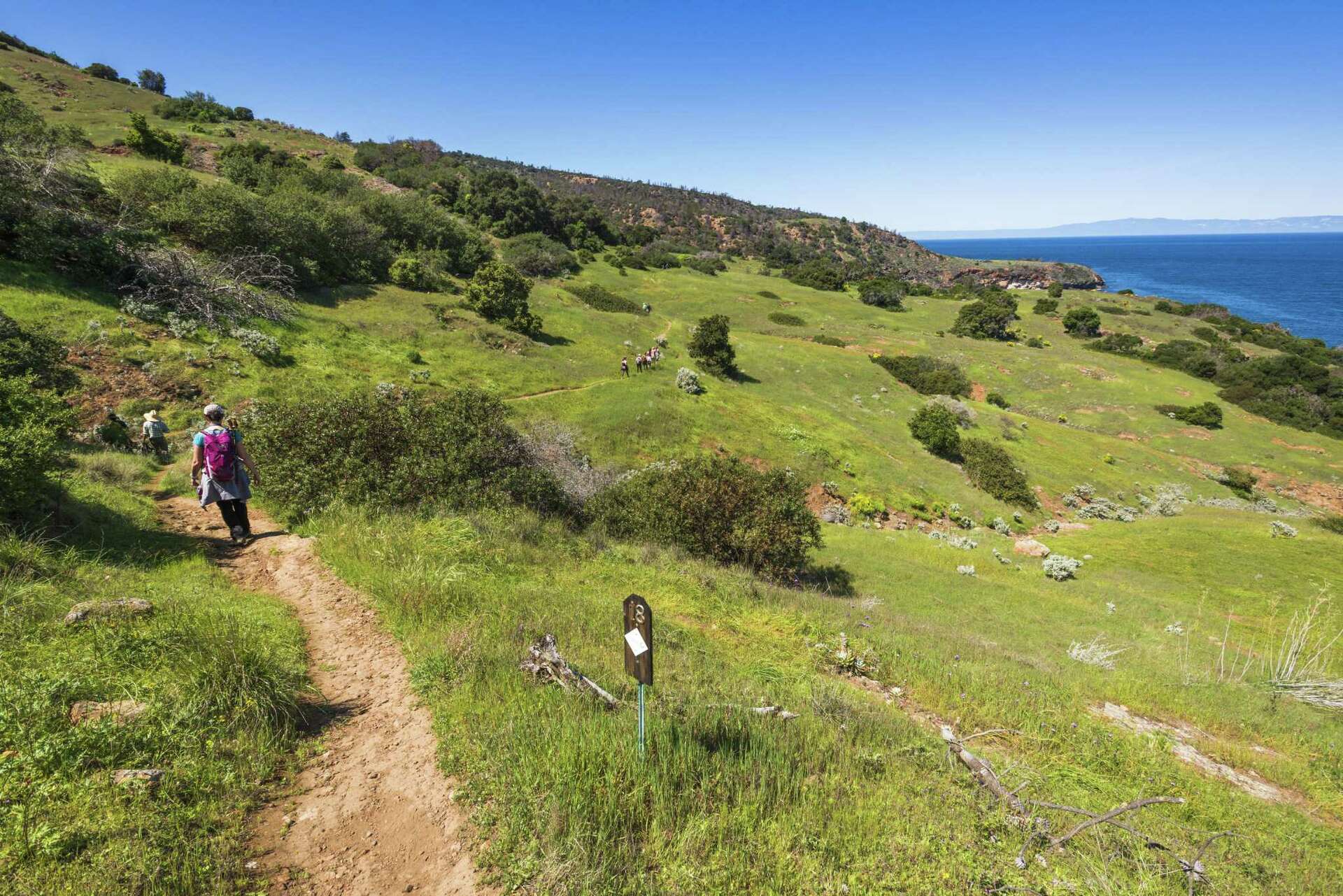 Everything you need to know about visiting California’s Channel Islands
