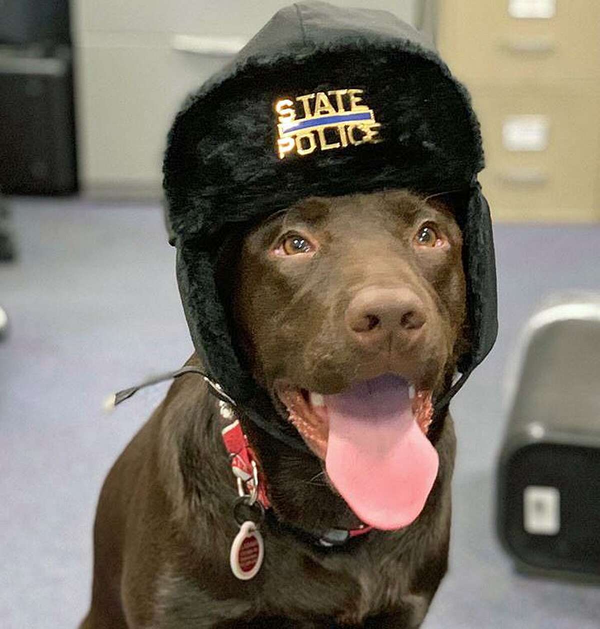 K9 gives troopers comfort, ‘sloppy dog kiss’ at barracks