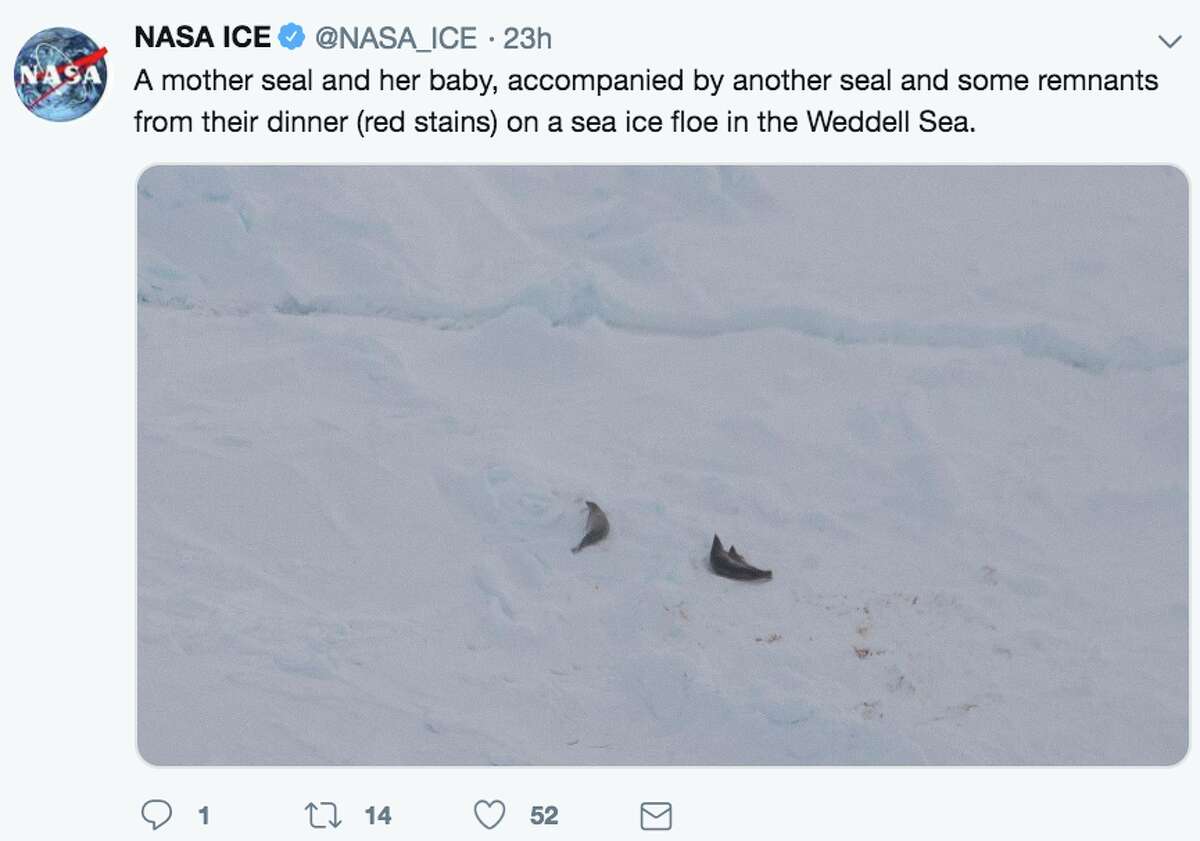 Perfectly rectangular iceberg spotted by NASA is an object of geometric ...