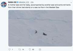 Perfectly rectangular iceberg spotted by NASA is an object of geometric ...