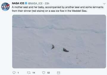Perfectly rectangular iceberg spotted by NASA is an object of geometric ...
