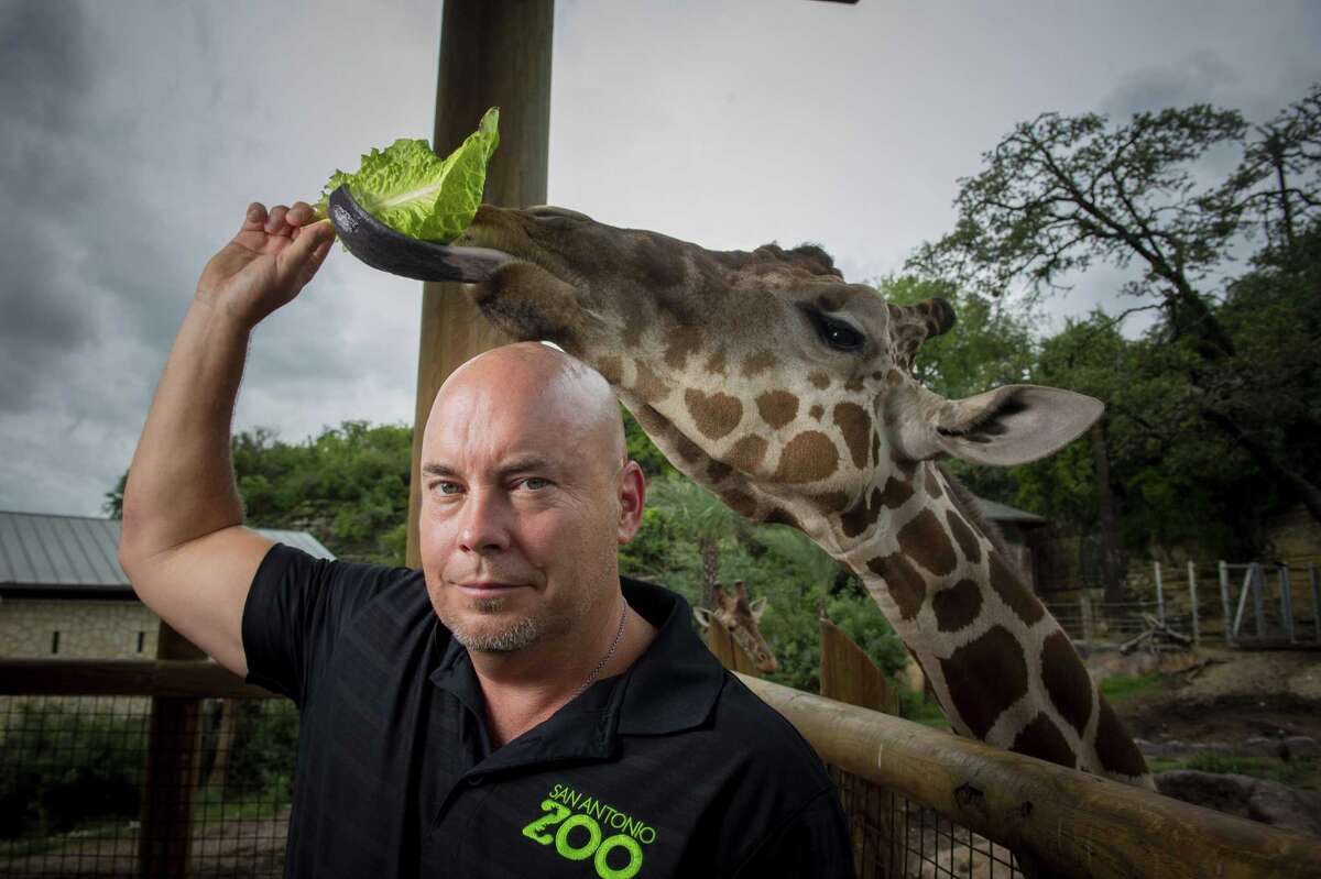 San Antonio Zoo CEO talks about future zoo attractions, mass extinction ...