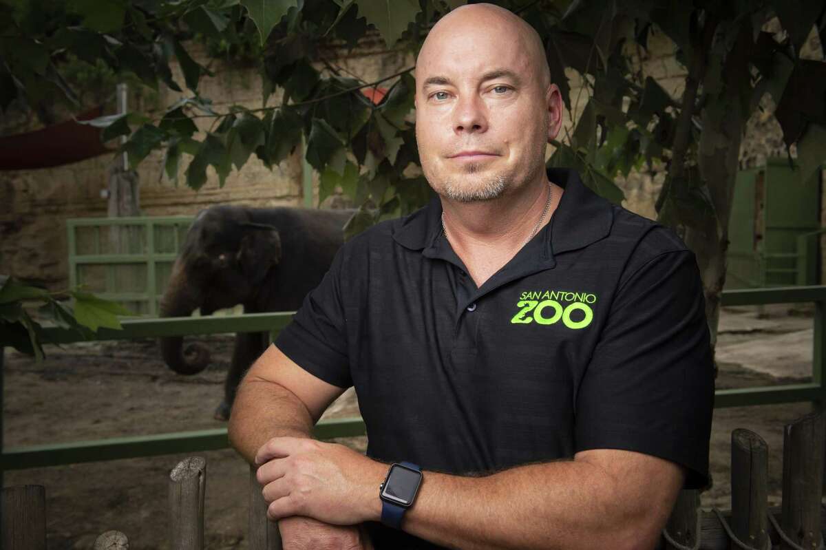 San Antonio Zoo CEO talks about future zoo attractions, mass extinction ...