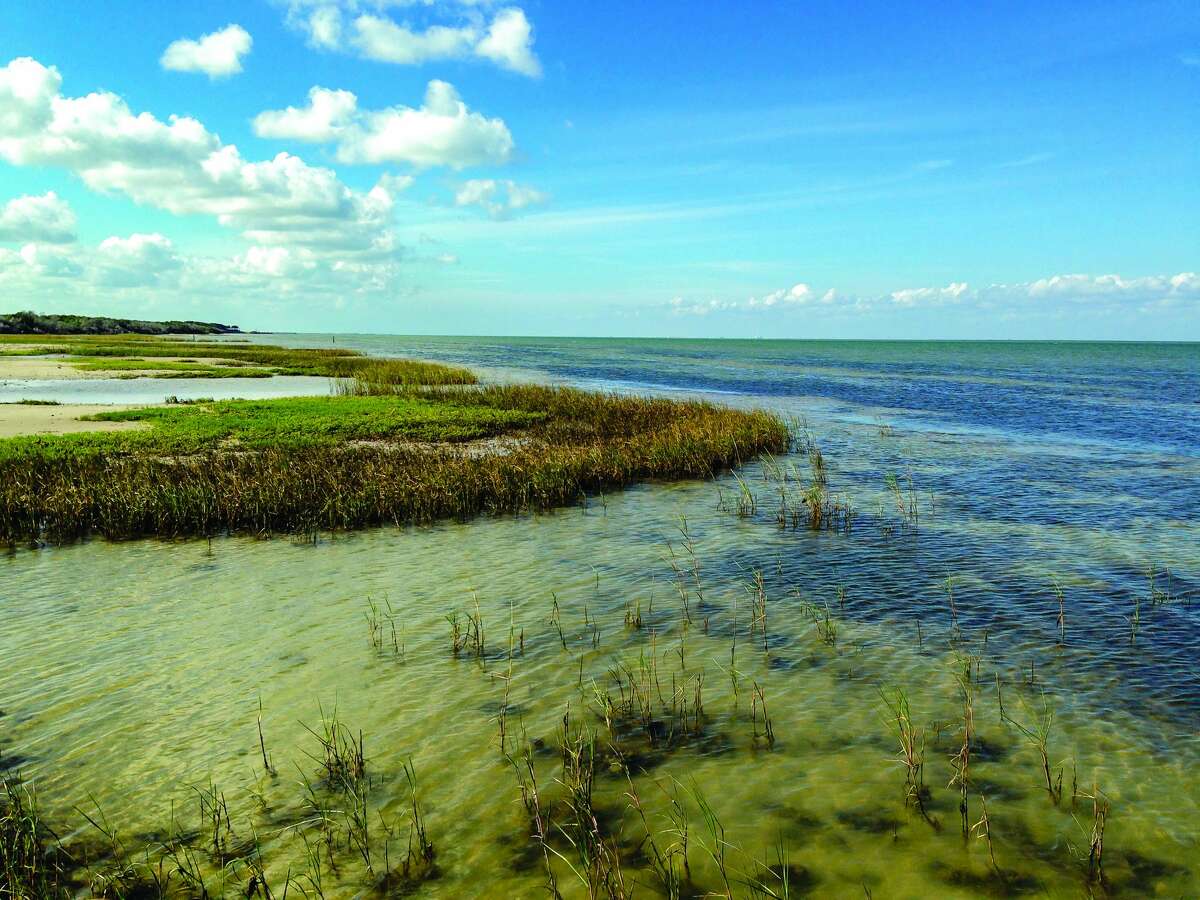 Pristine stretch of coastline expected to become the next Texas State Park