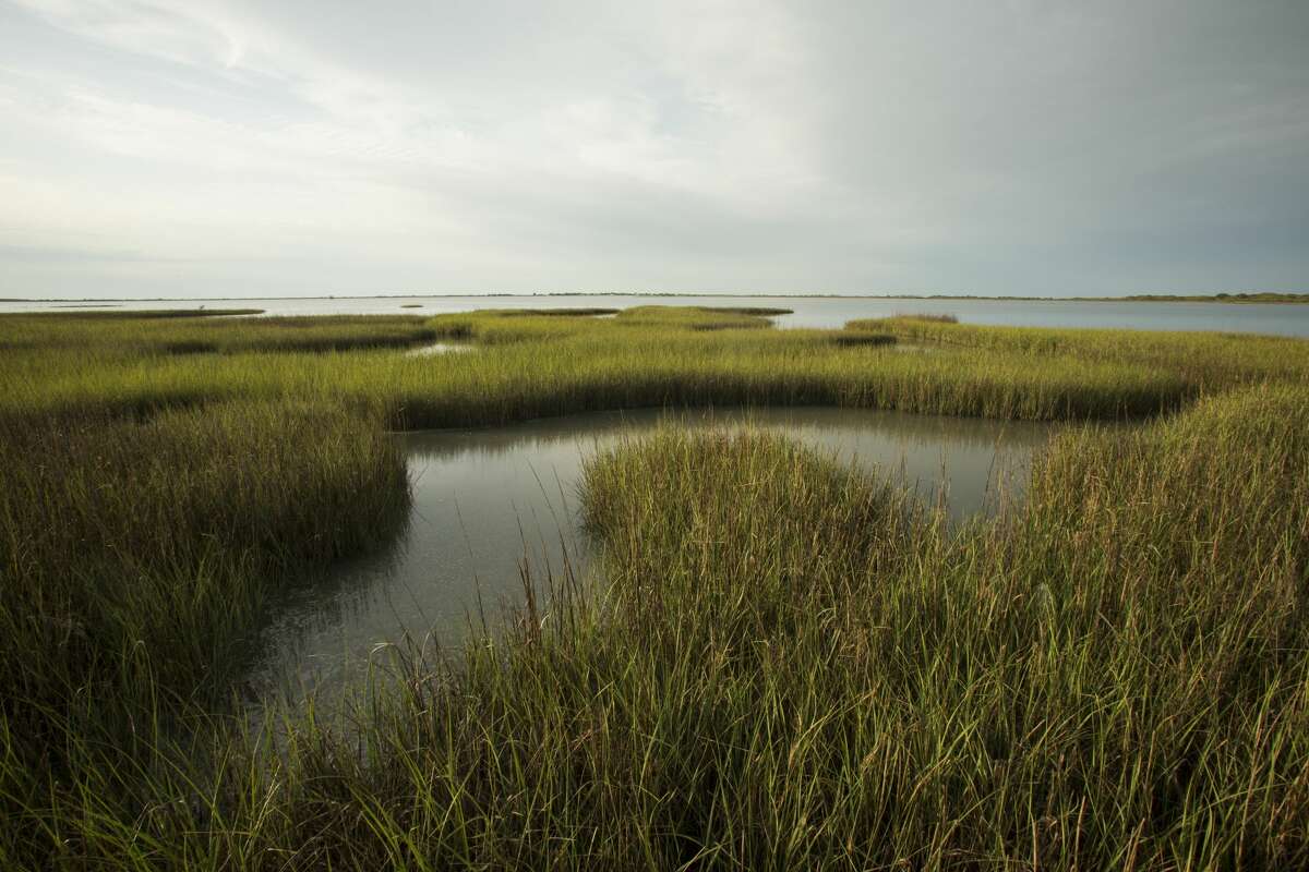 Pristine stretch of coastline expected to become the next Texas State Park