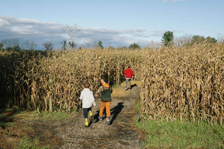 Your local haunted corn maze is infuriating the neighbors - San Antonio ...