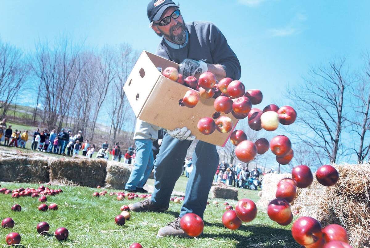 This is Connecticut’s best apple orchard, according to Readers’ Digest