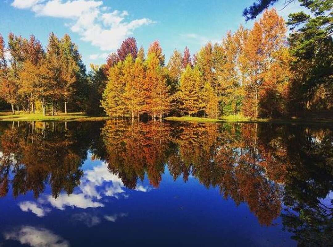 16 beautiful Texas state parks where the leaves are changing colors