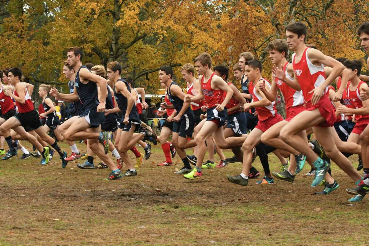 Kelsey Chmiel equals mark at Section II cross country meet