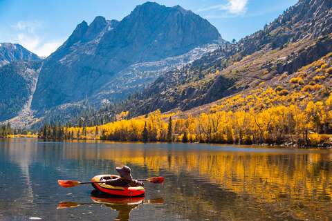 15 of the best places to see fall leaves near the Bay Area
