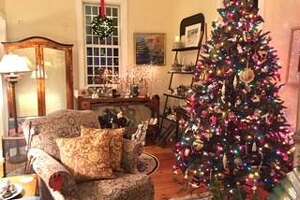 Torrington’s Tracey Thurman Motuzick honored as ‘survivor and crusader ...