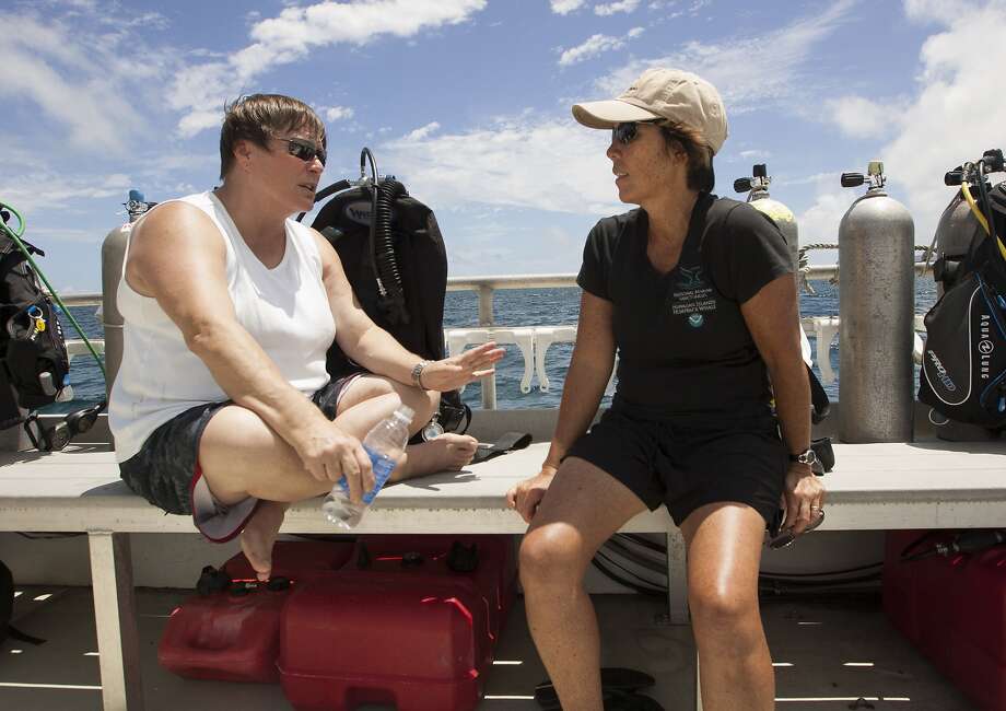 Ruth Gates dies — marine biologist sought to protect coral reefs - SFGate