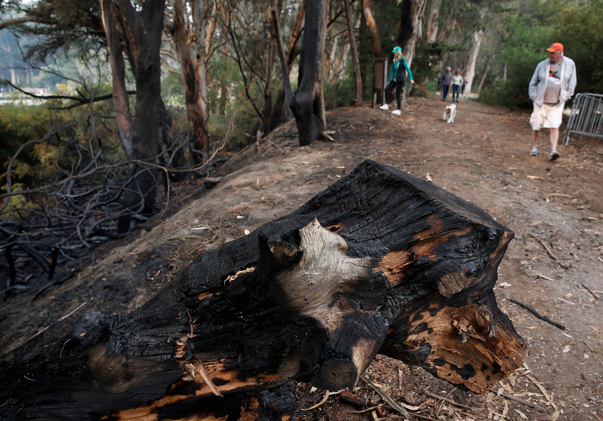 Six ‘suspicious’ fires inside Golden Gate Park in 24 hours