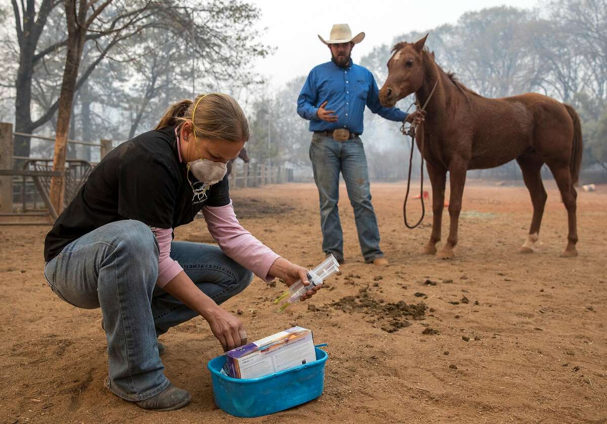 Cowboy volunteers ride to the rescue of horses and other animals from ...