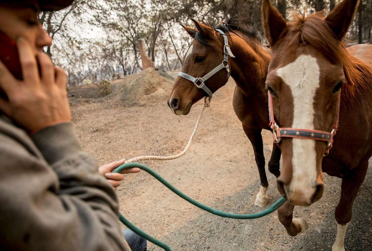29 dead in Camp Fire as firefighters make gains on Butte County blaze