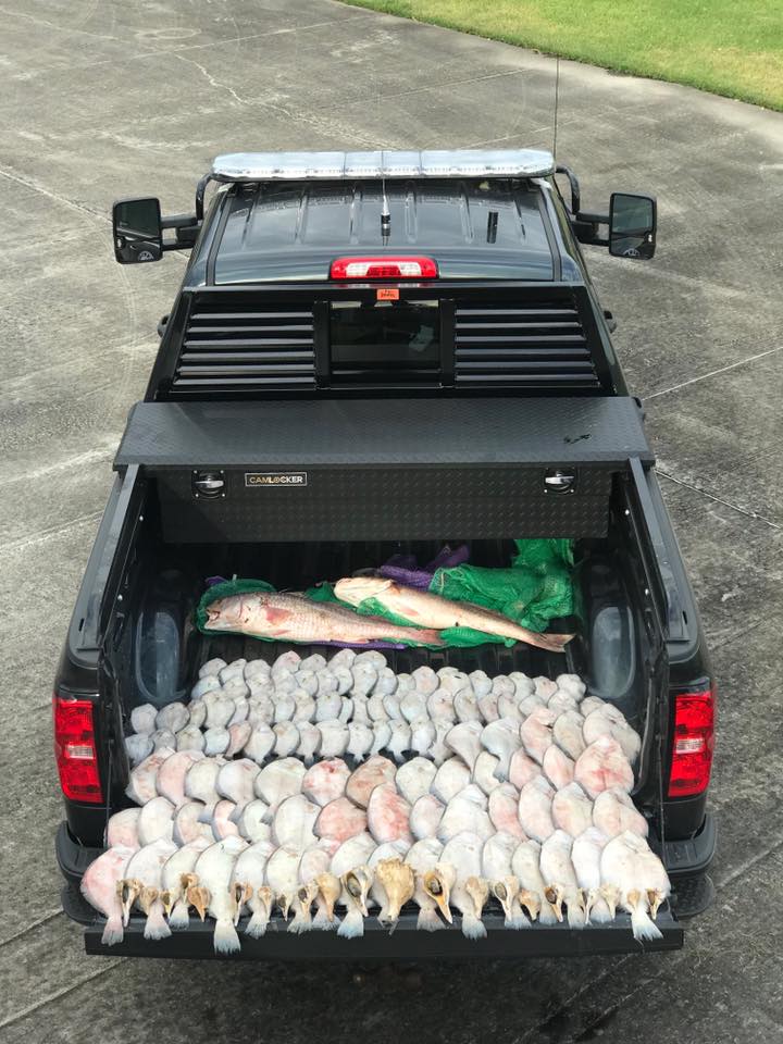 Men found with hundreds of illegal fish, including state symbol