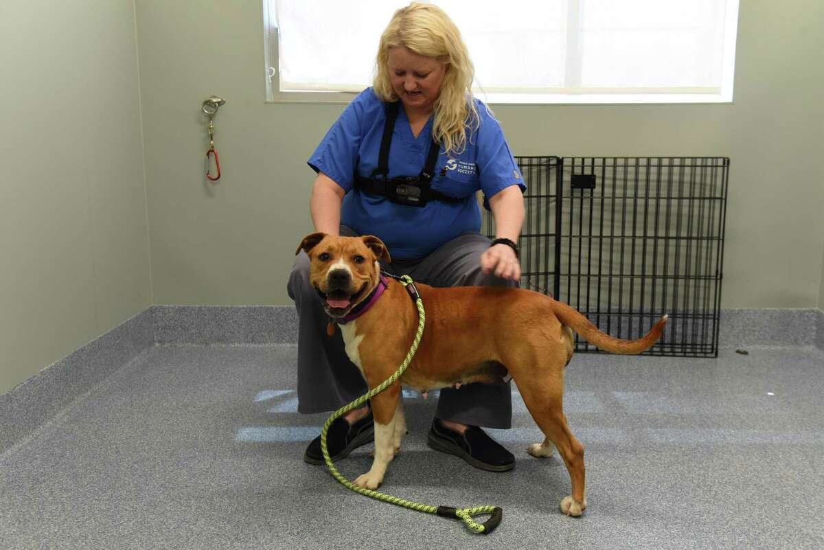 Capital Region Gives: Mohawk Hudson Humane Society - affordable ...