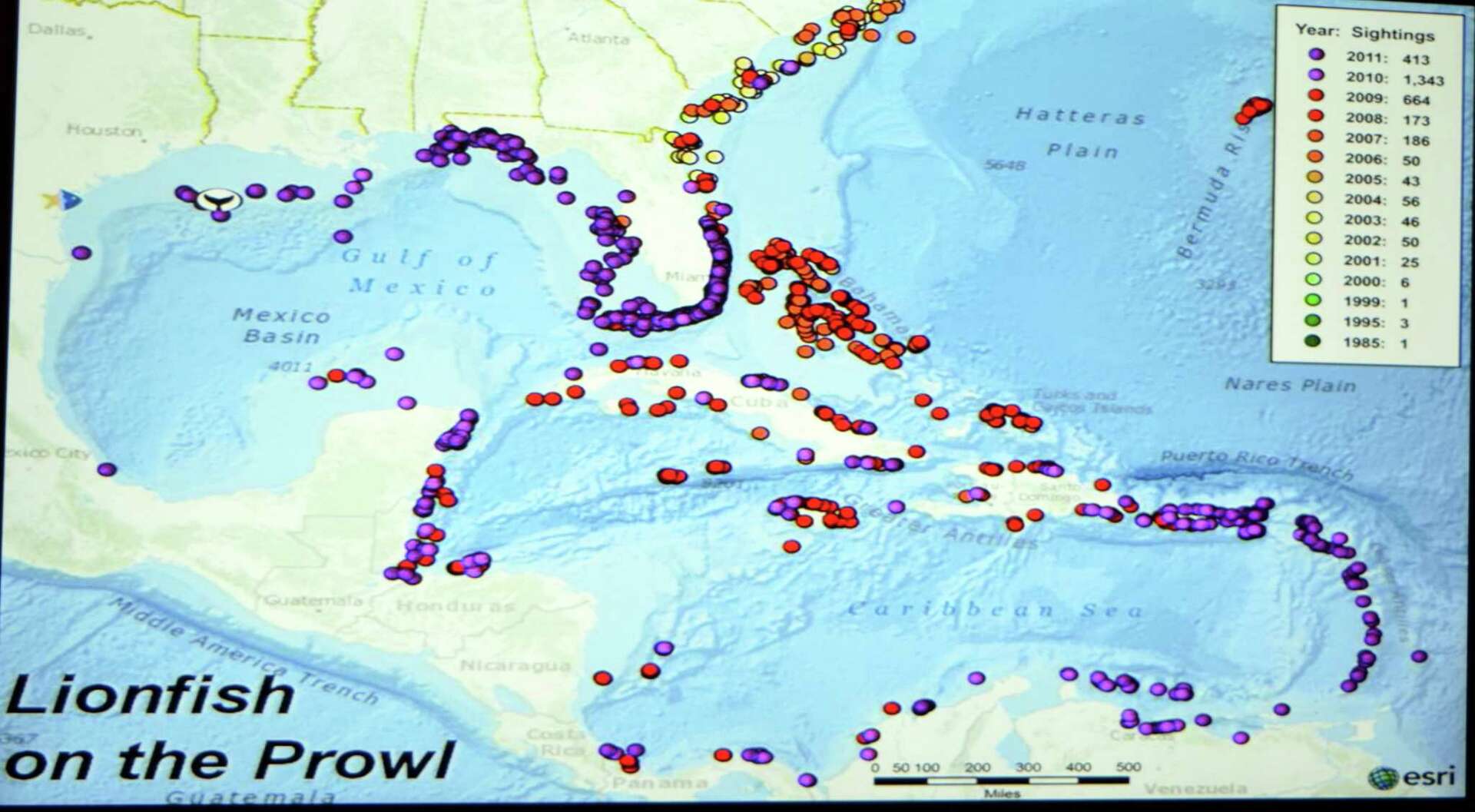 Lionfish Invasion Map