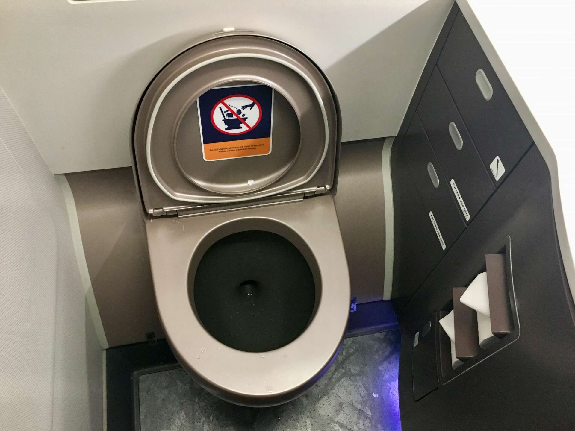 Airplane toilet seats: Up or down?