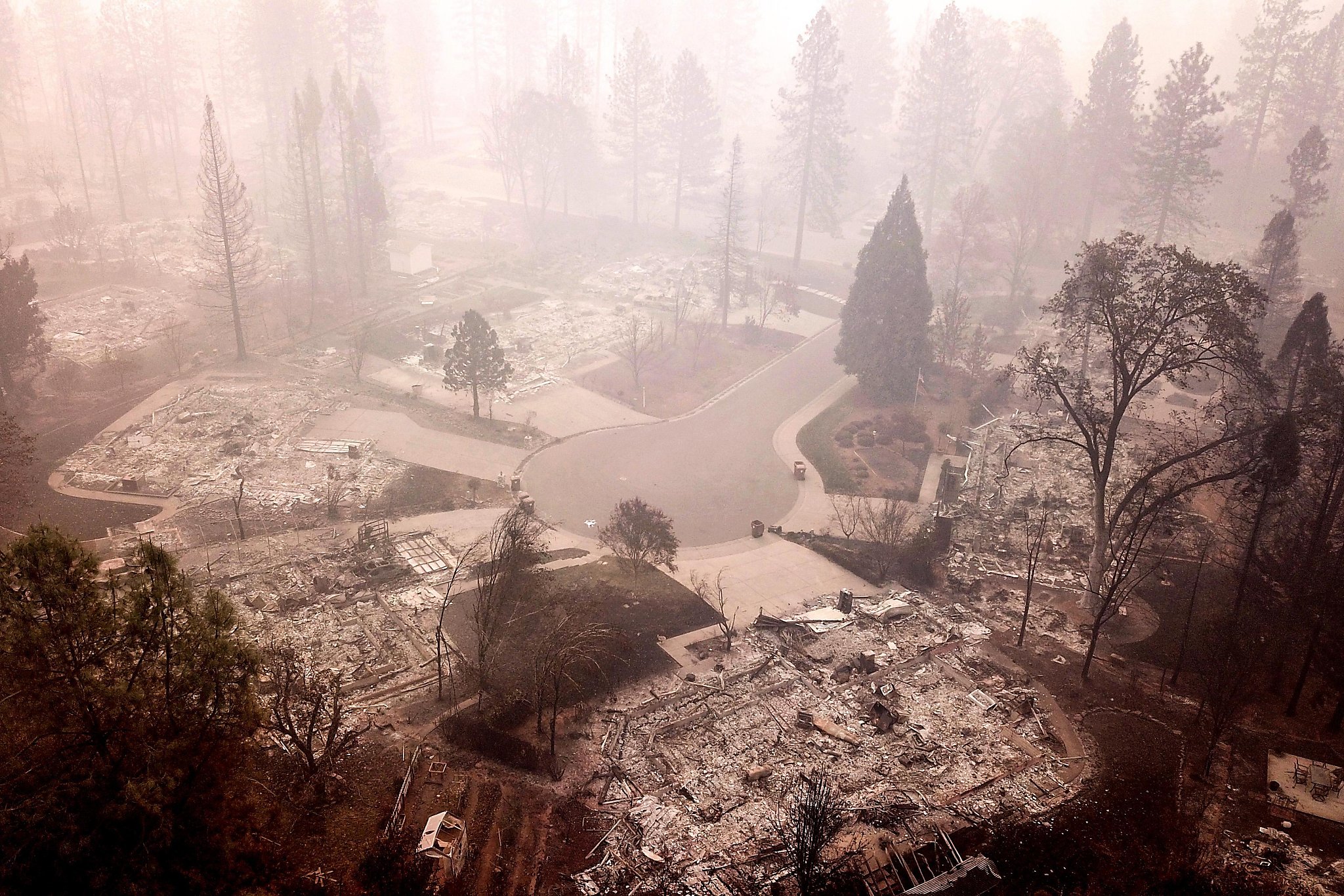 Bay Briefing: Camp Fire cleanup contract goes to firm connected to ...