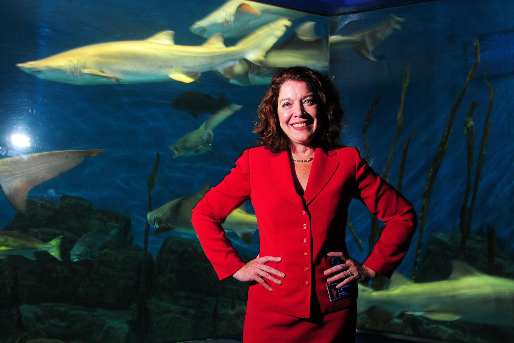 Hanley finds challenge as new president of Maritime Aquarium