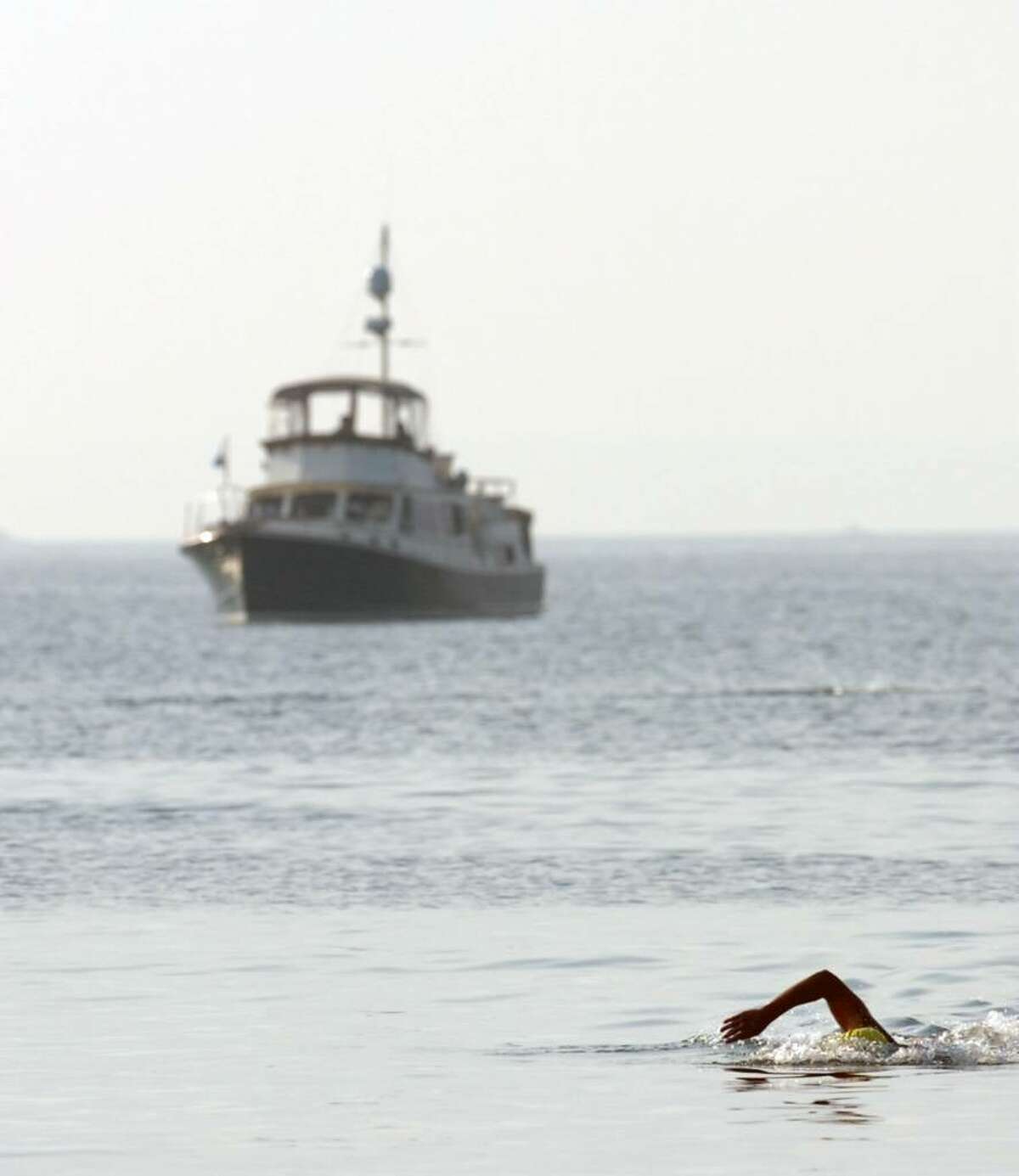 New Canaan's Healy wins second straight Greenwich Point Swim