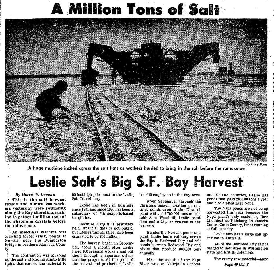 Remembering the Leslie Salt Mountain: Bay Area’s odd, glistening landmark