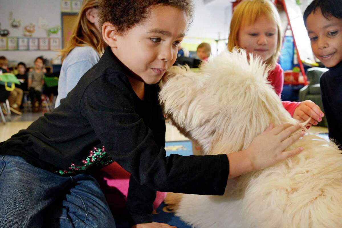 Photos: Working dogs of the Capital Region