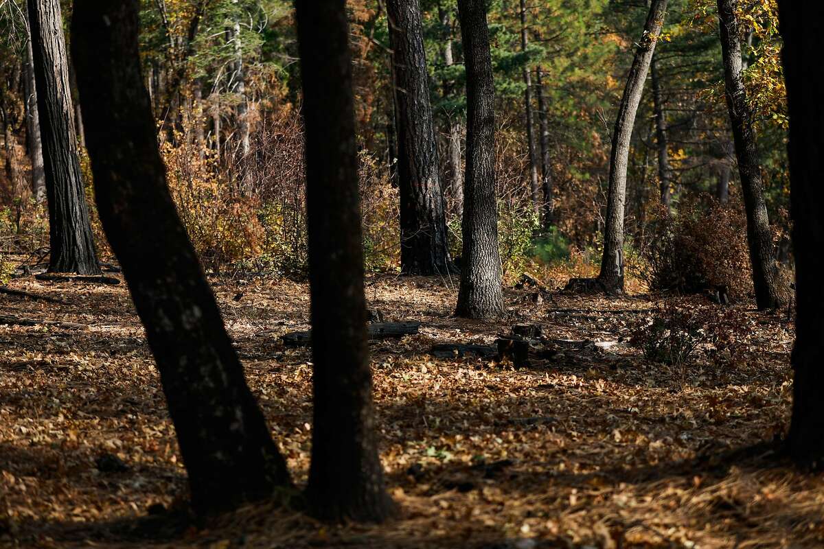 Fixing state’s fire problem: Costly, complex, next to impossible