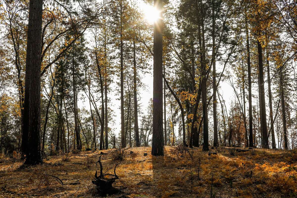 Fixing state’s fire problem: Costly, complex, next to impossible