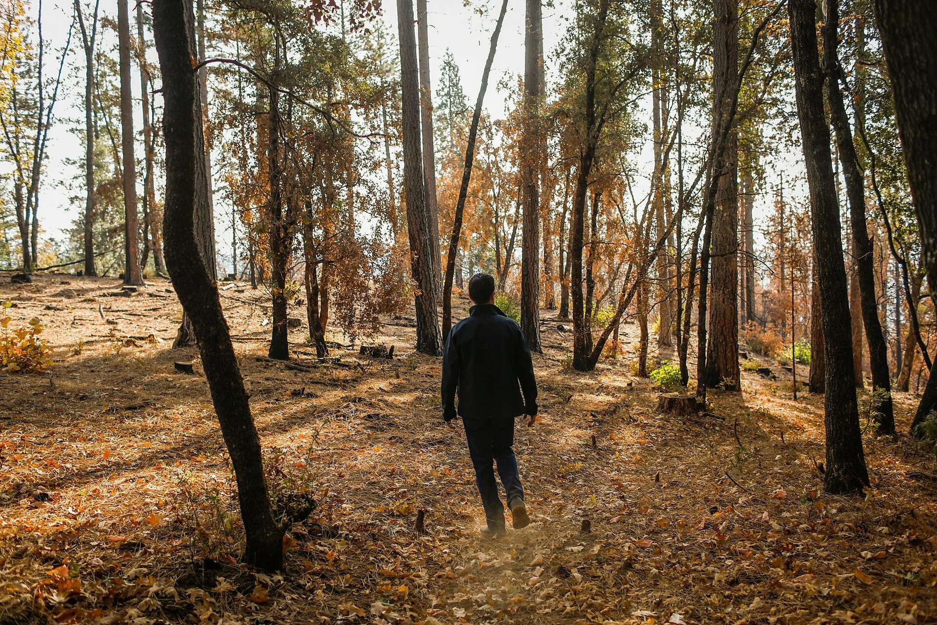 Fixing state’s fire problem: Costly, complex, next to impossible