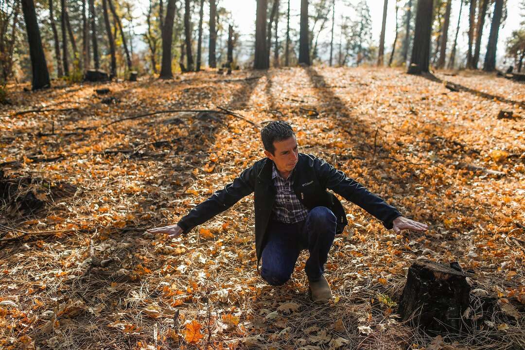 Fixing state’s fire problem: Costly, complex, next to impossible