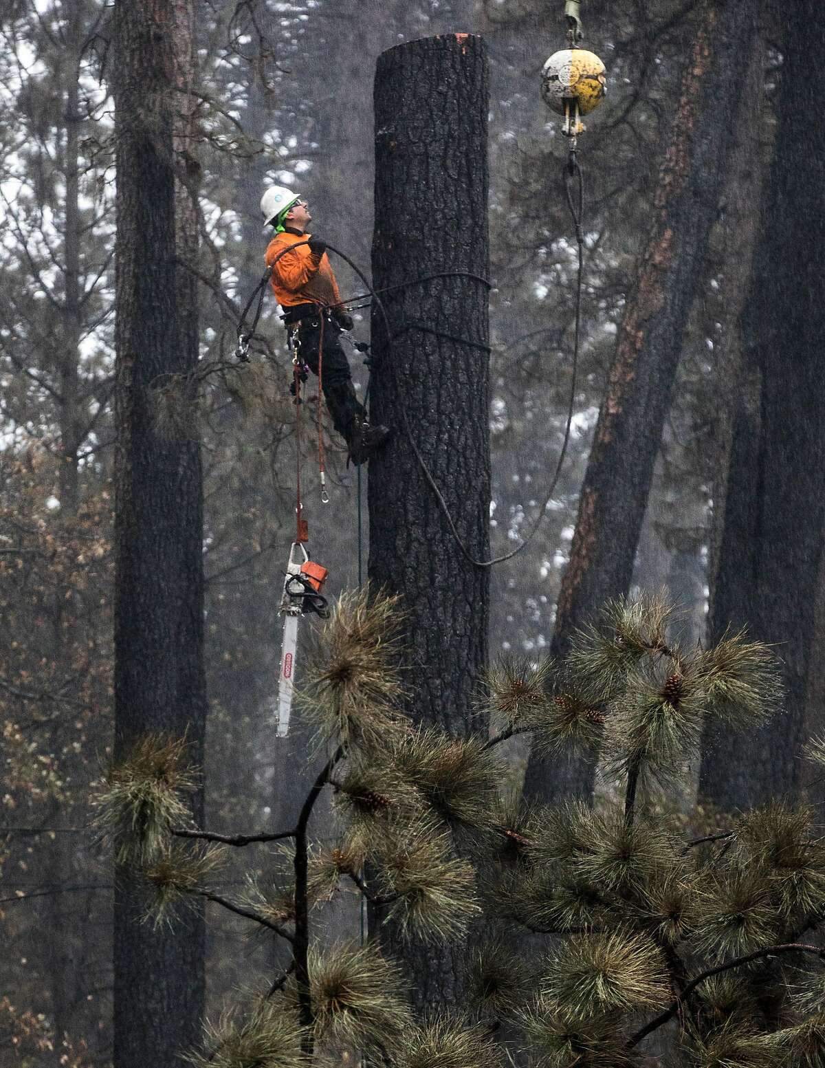 Camp Fire: Two more bodies found, bringing death toll to 83