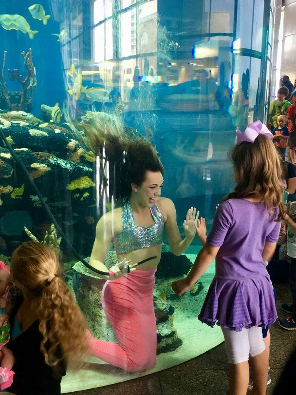 Near Tampa, a family-friendly underwater mermaid show endures